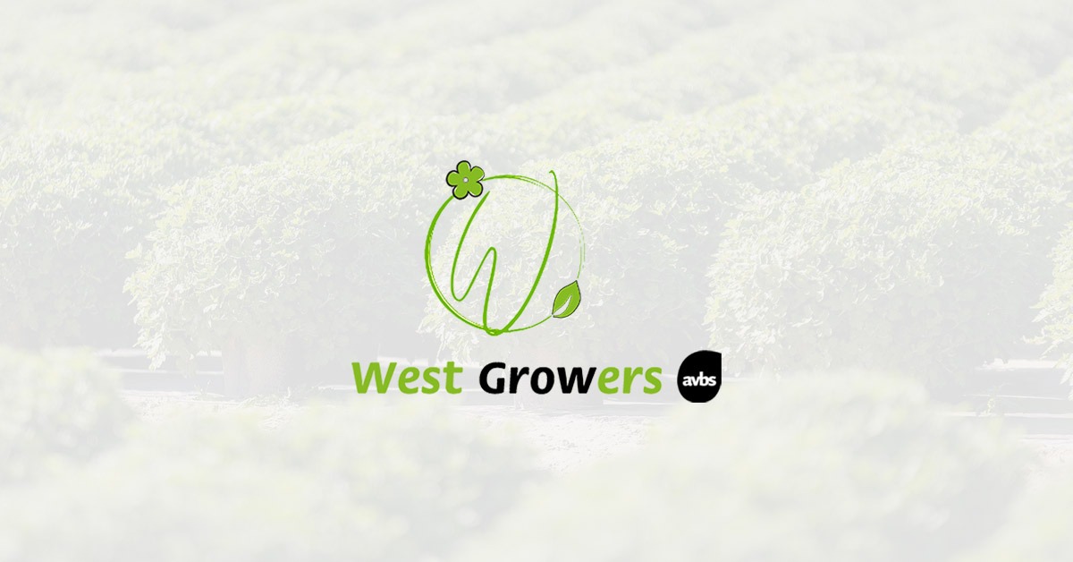West Growers - Horticulture ornementale et Flandre occidentale verte